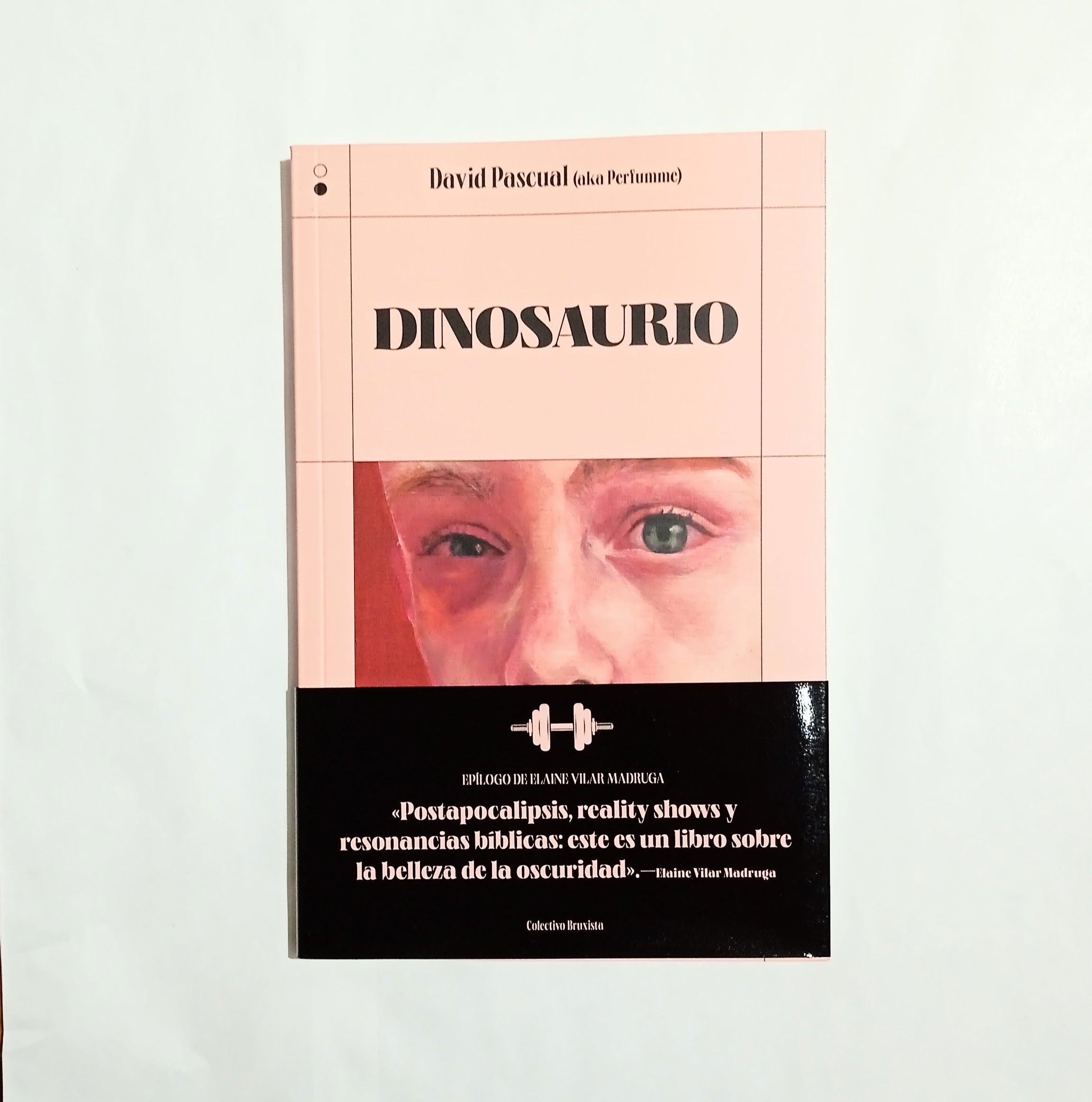 DAVID PASCUAL | Dinosaurio – La Llama Store